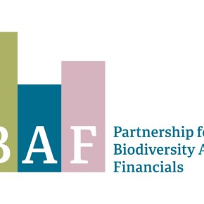 The PBAF partners cooperate in the development of harmonized principles ...